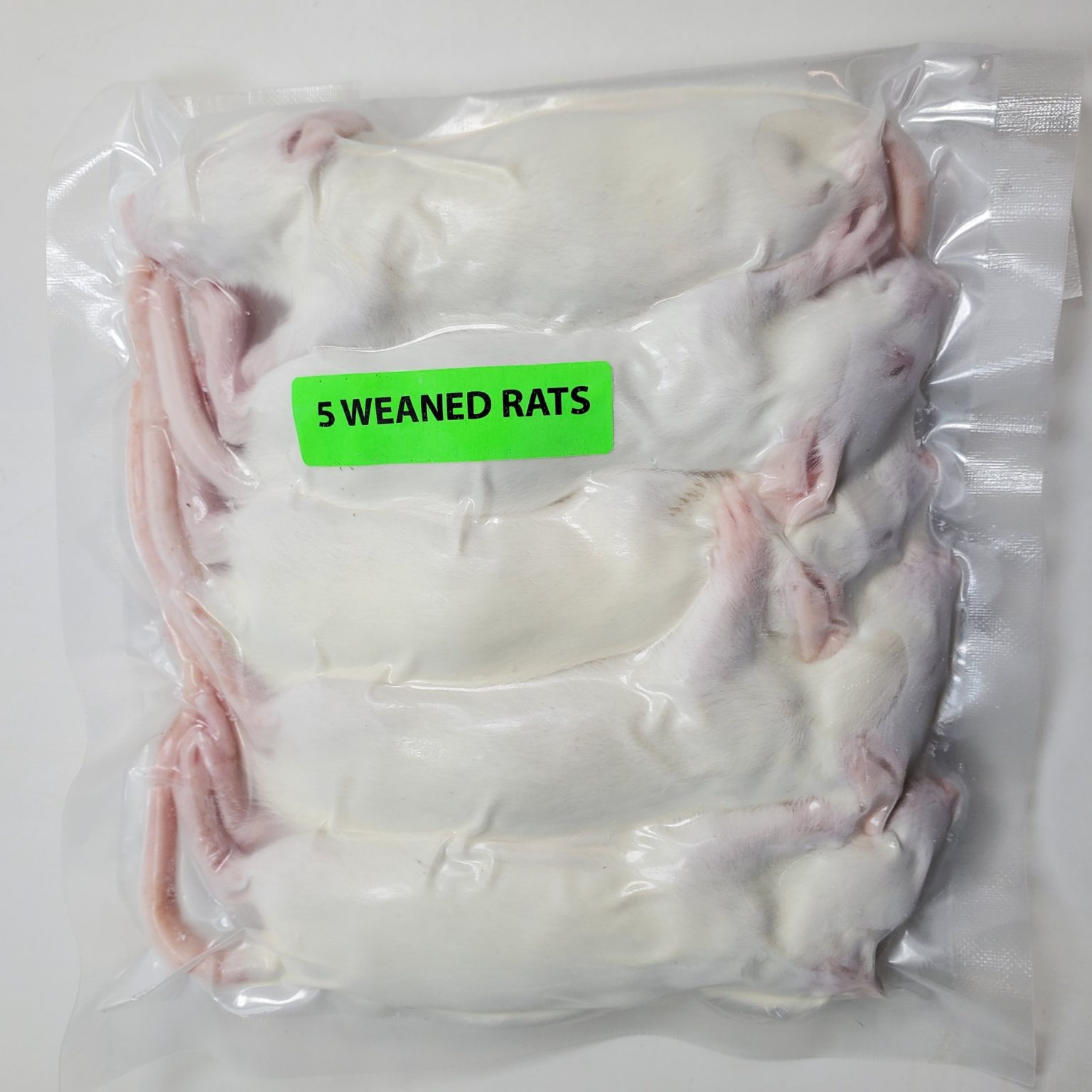 Weaned Rats (20/Pack) - PerfectPrey.com