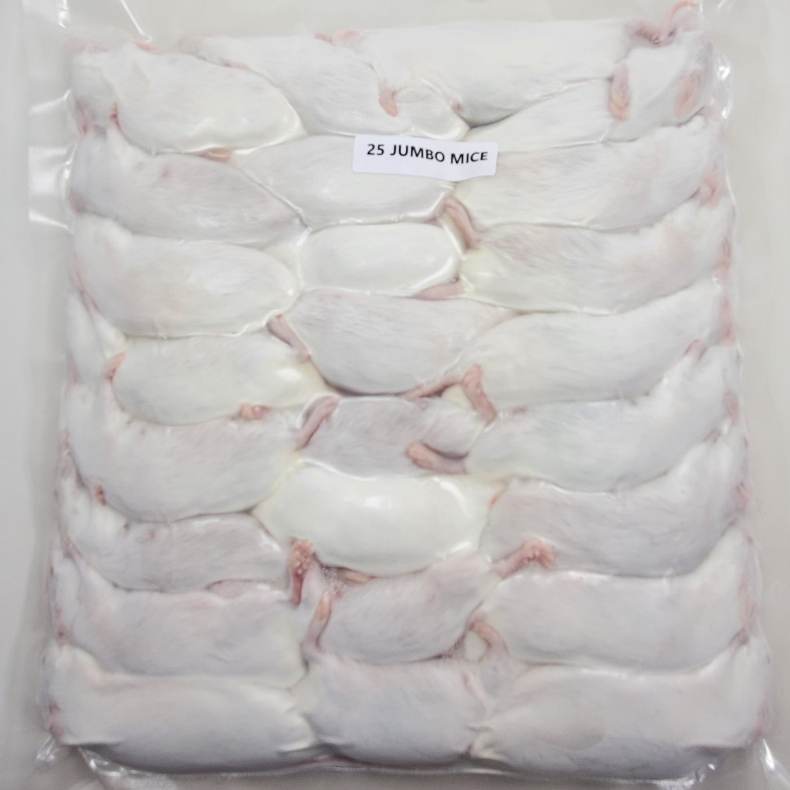 Small/Weaned Mice (25/Pack) - PerfectPrey.com