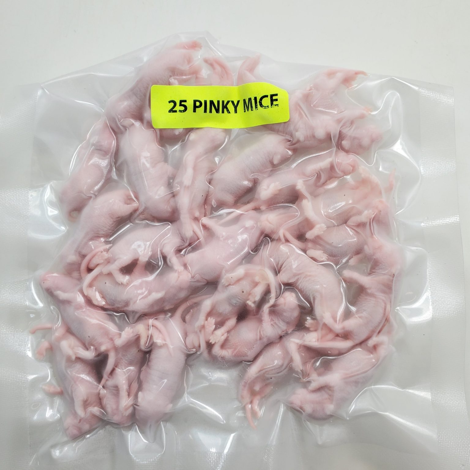 Normal Fuzzy Mice (50/Pack) - PerfectPrey.com