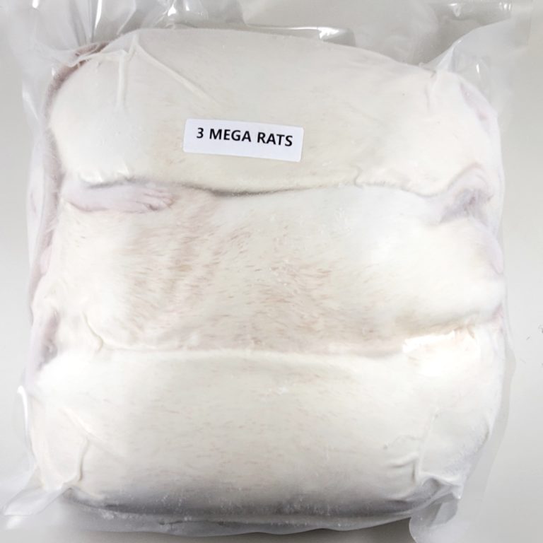 Fuzzy Rats (25/Pack) - PerfectPrey.com